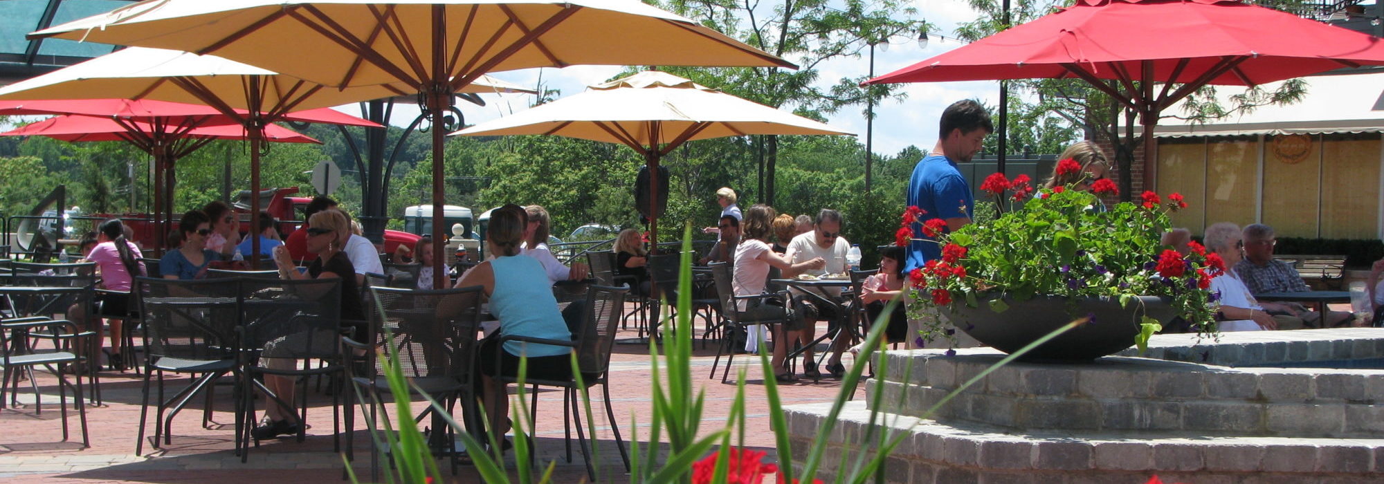 About Downtown - Northville DDA